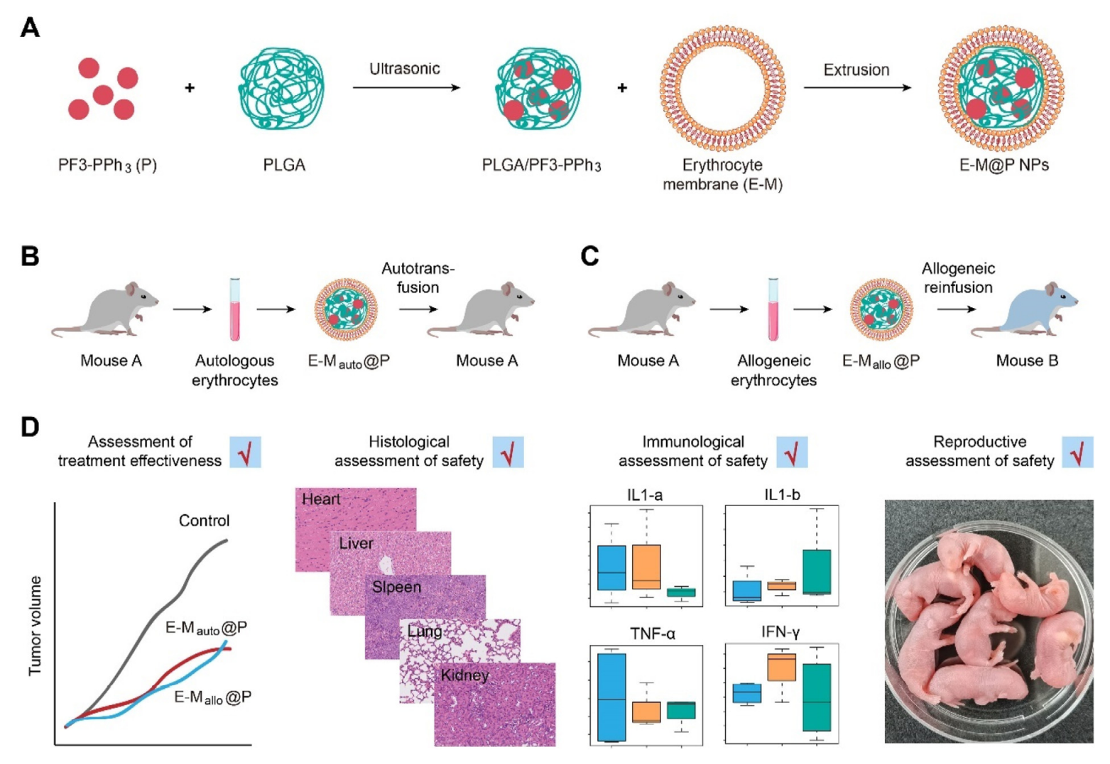 2022-生命分析化学实验室